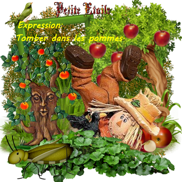 Pourquoi dit-on:tomber dans les pommes?