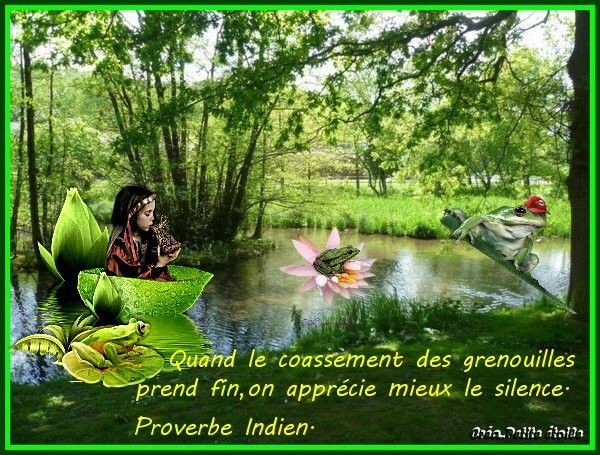 Ma citation du jour Ma citation du jour